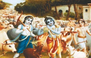 Balaram Purnima, Appearance Day of Lord Balaram – Indo American News