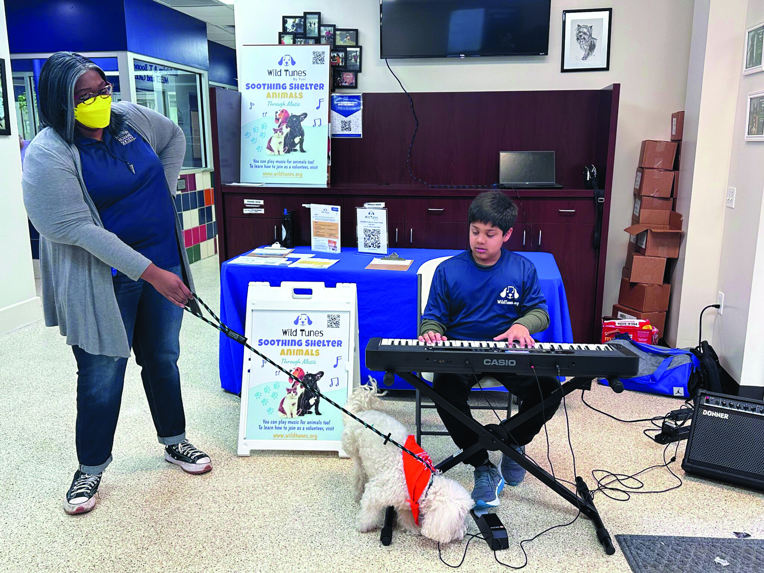 Share Your Musical Talent to Calm Shelter Animals: Join the Wild Tunes ...